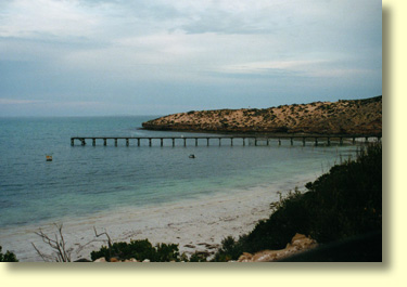 Cactus Beach - Nullarbor Travel Guide Australia